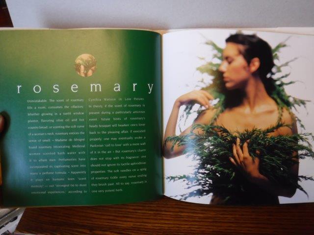 InterCourses: An Aphrodisiac Cookbook