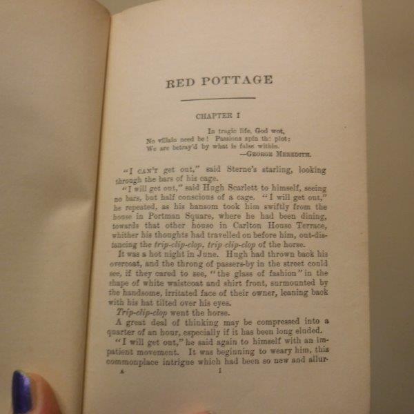 Red Pottage