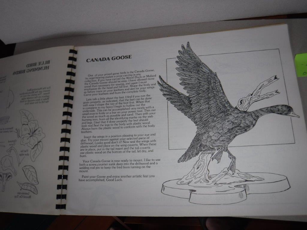 20 Realistic Game and Song Birds Wood Carving Patterns
