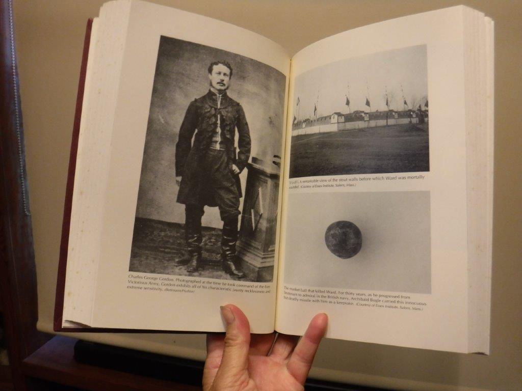 The Devil Soldier: The Story of Frederick Townsend Ward