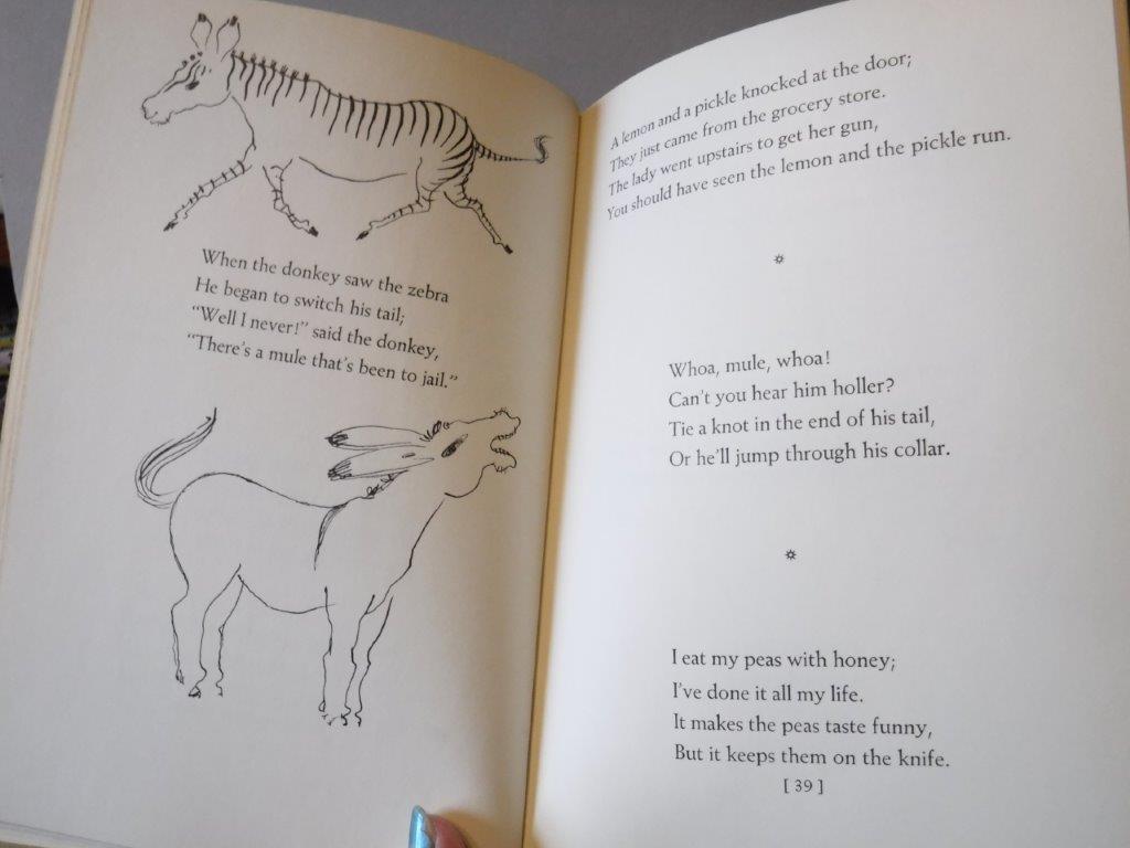 A Rocket in My Pocket, the Rhymes and Chants of Young Americans