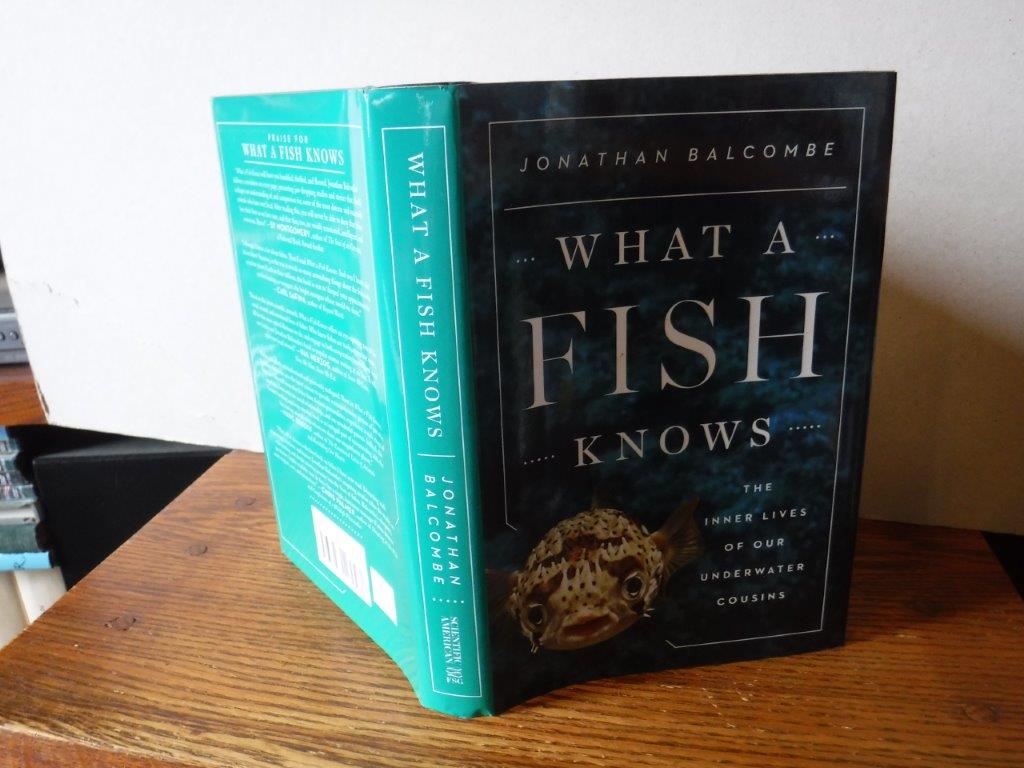 What a Fish Knows: The Inner Lives of Our Underwater Cousins