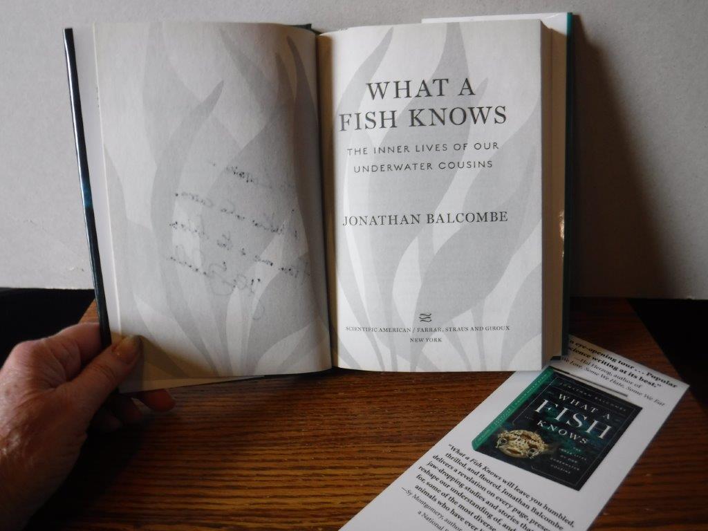 What a Fish Knows: The Inner Lives of Our Underwater Cousins