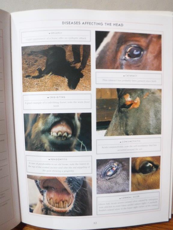 The Complete Equine Veterinary Manual: A Comprehensive and Complete ...