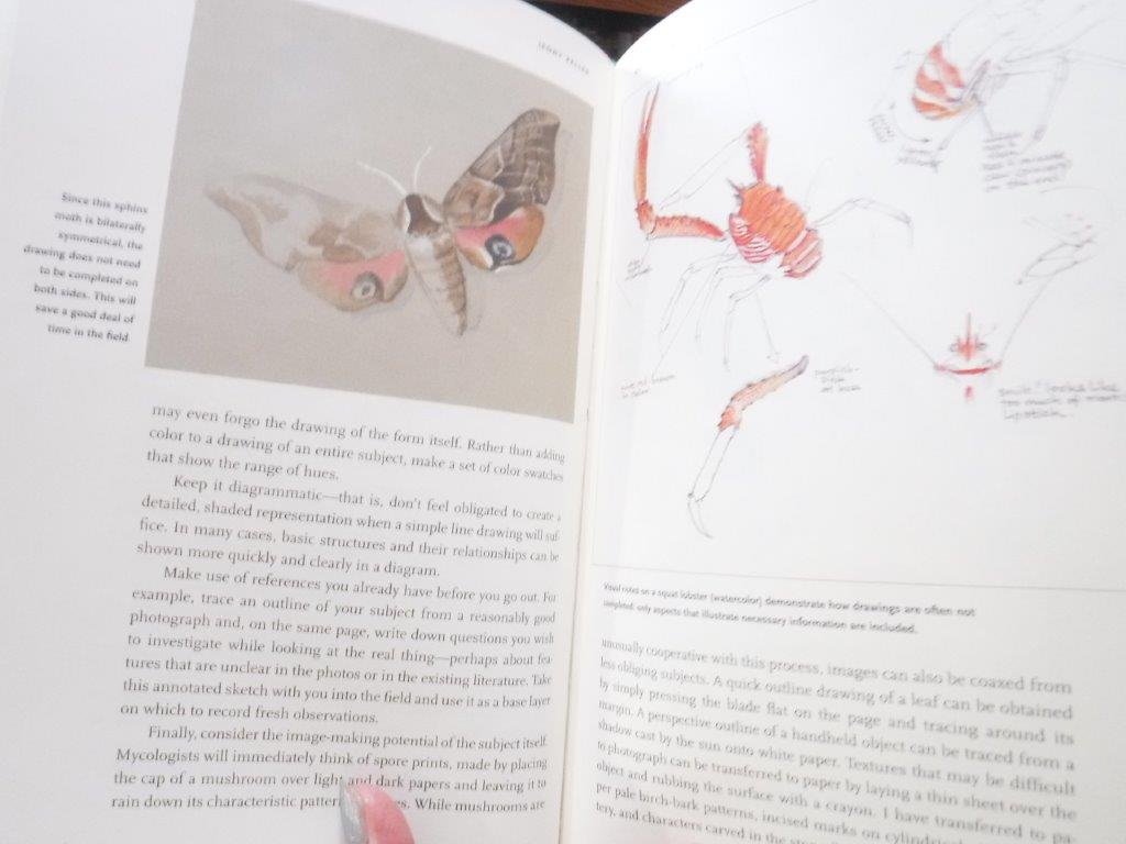 Field Notes on Science & Nature