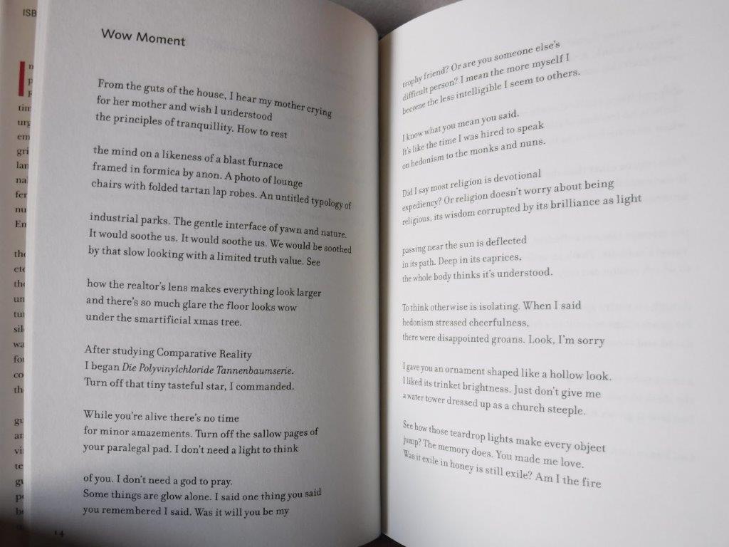 Barely Composed: Poems