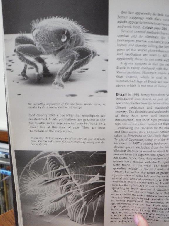 Illustrated Encyclopedia of Beekeeping