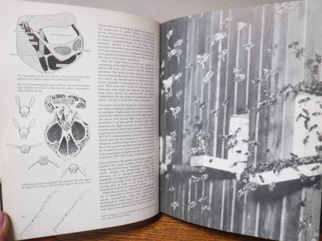 Illustrated Encyclopedia of Beekeeping
