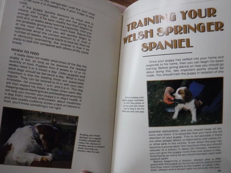 Welsh Springer Spaniel: A Complete and Reliable Handbook (Rare Breed)