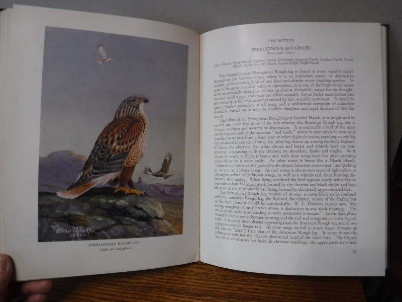 The Hawks of North America: Their Field Identification and Feeding Habits