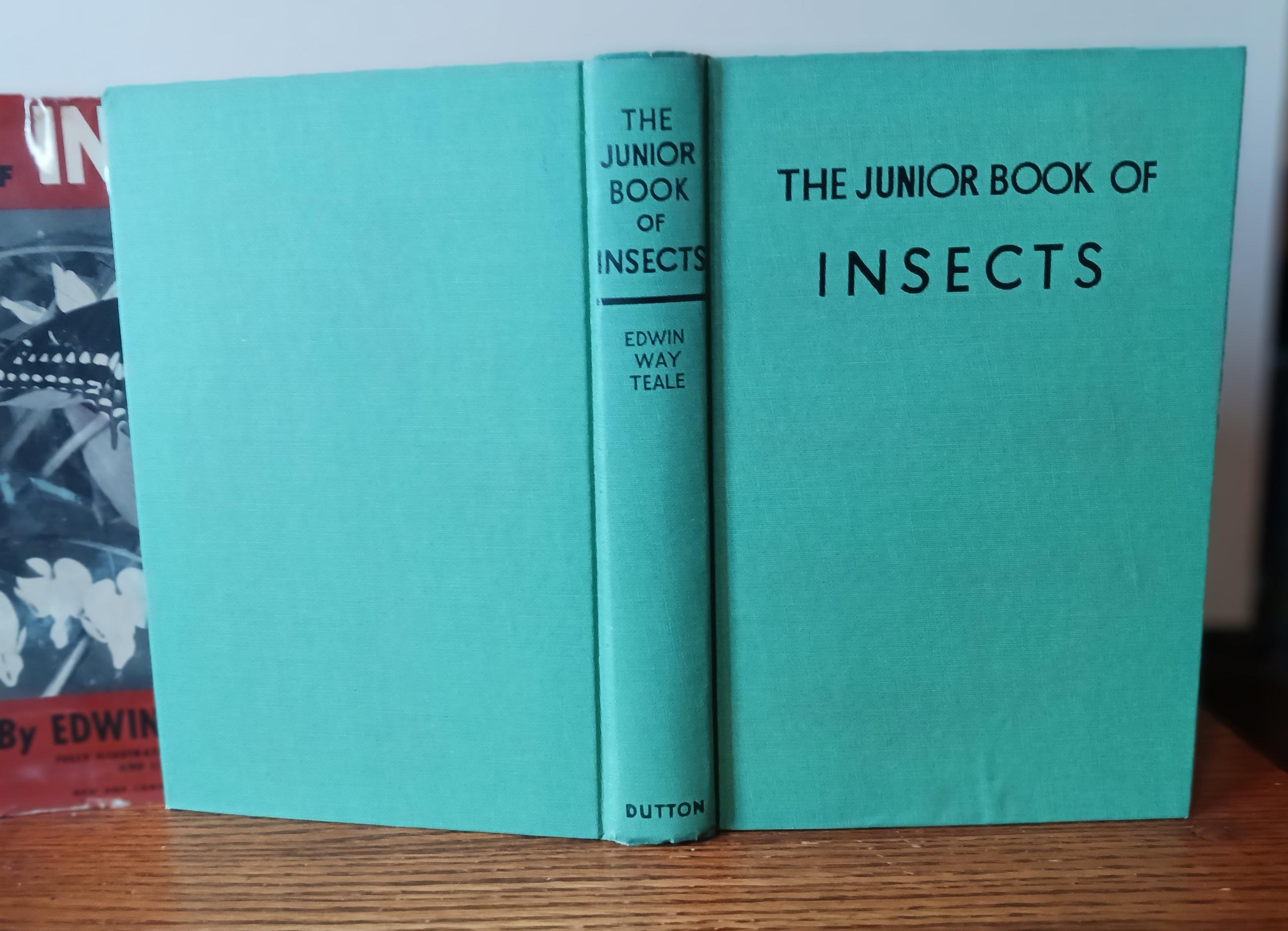 The Junior Book of Insects (Originally The Boys' Book of Insects )