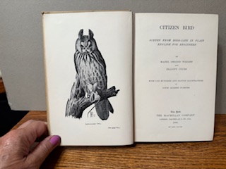 Citizen Bird - Scenes from Bird-Life in Plain English for Beginners