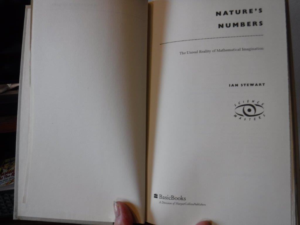 Nature's Numbers: The Unreal Reality of Mathematics