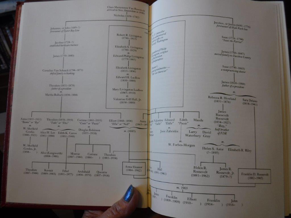 Eleanor Roosevelt Family Tree Eleanor Roosevelt's Granddaughter And