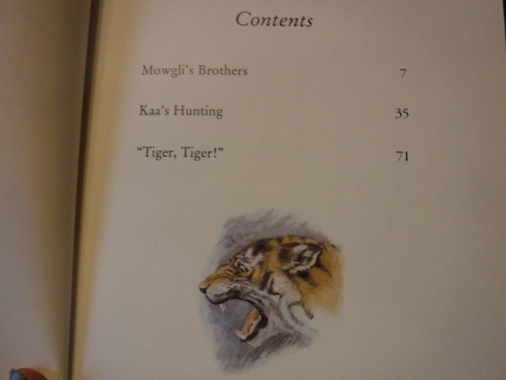 Favorite Mowgli Stories from The Jungle Book