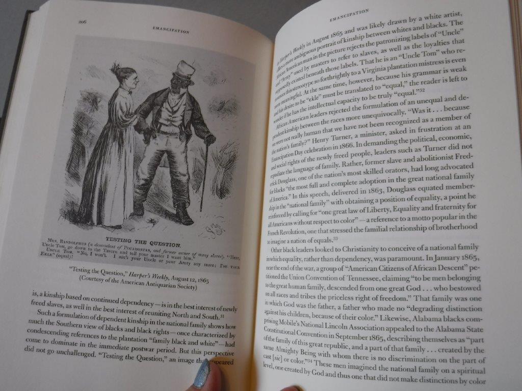 The Divided Family in Civil War America